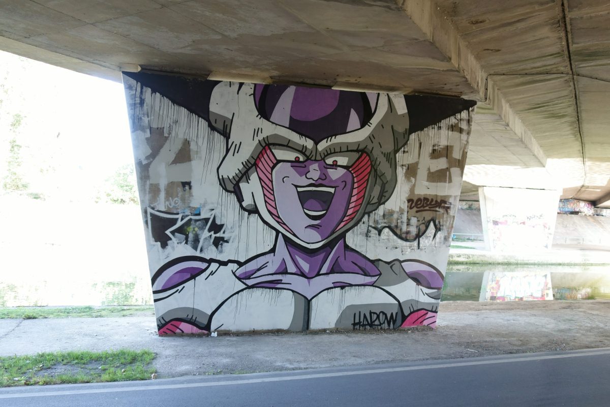 La verdadera identidad de Freezer: ¿Hombre o mujer?