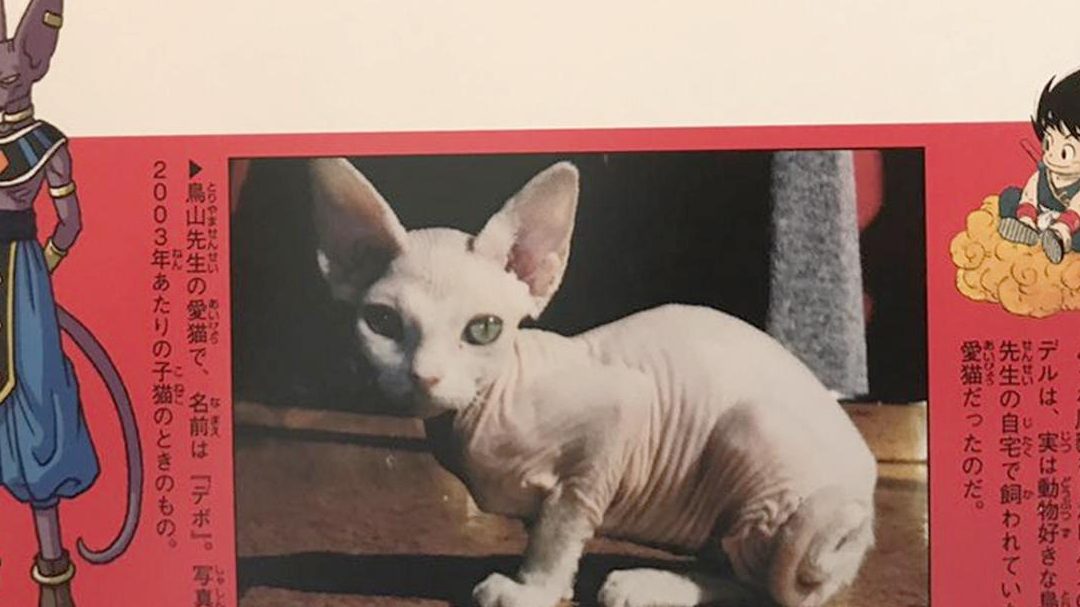 Descubre la raza del misterioso Señor Bills en Dragon Ball